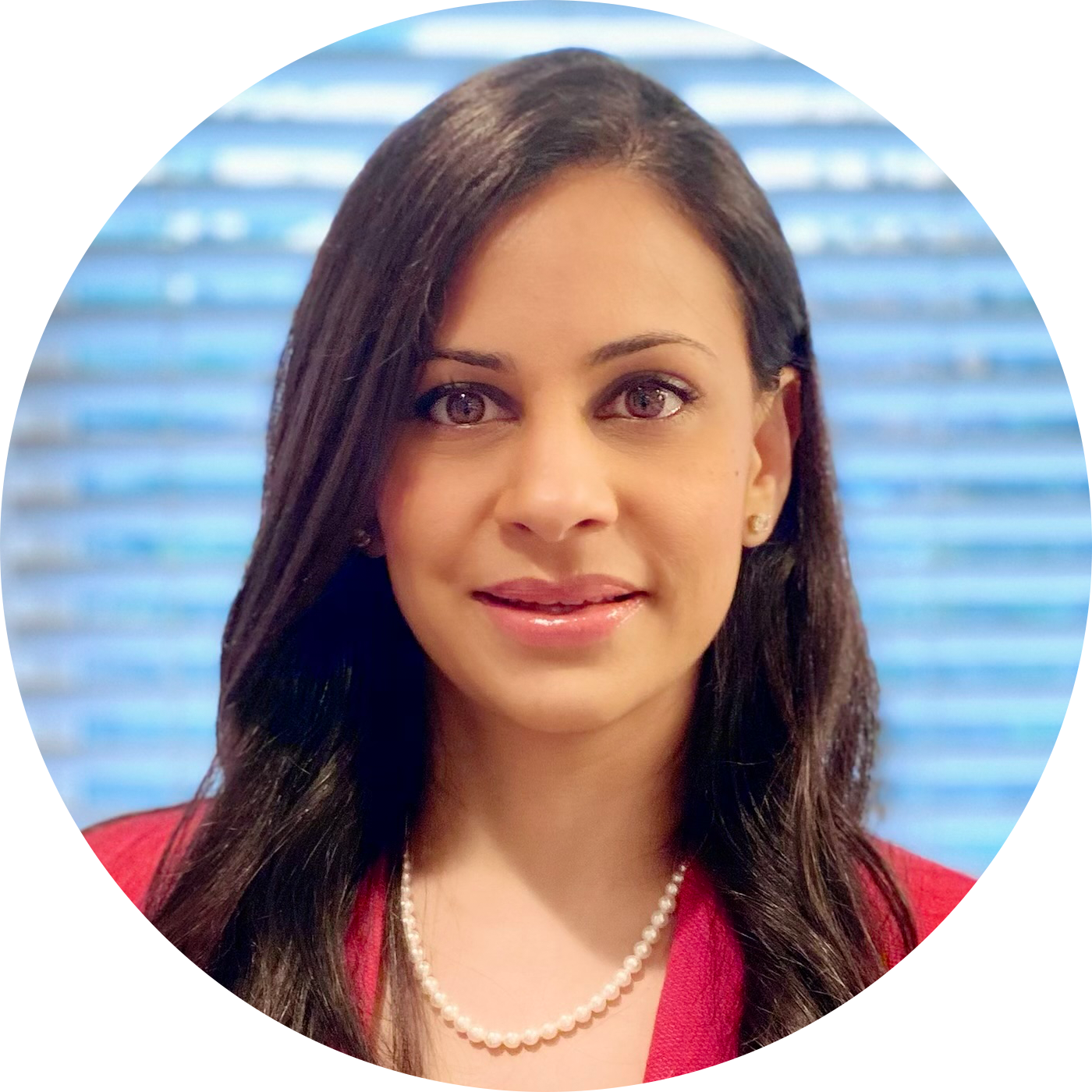 Meet Our Team At My Visa Source Immigration Law Firm